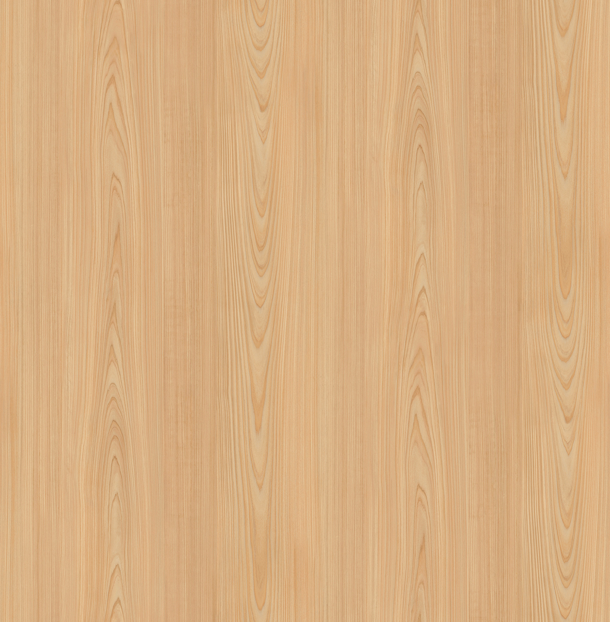 Cypress Wood Texture